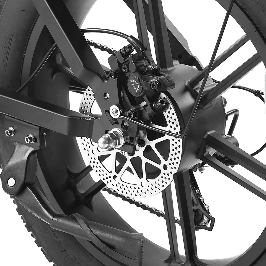 HappyRun G60 750W Electric Bike Fat Tire, Cafe Racer Ebike